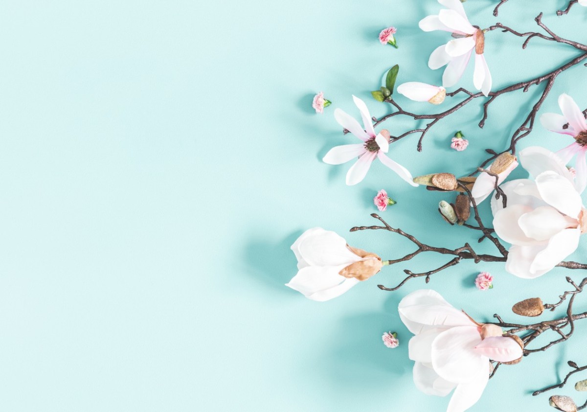 A New & Fresh Look at Spring Fundraising for Nonprofits